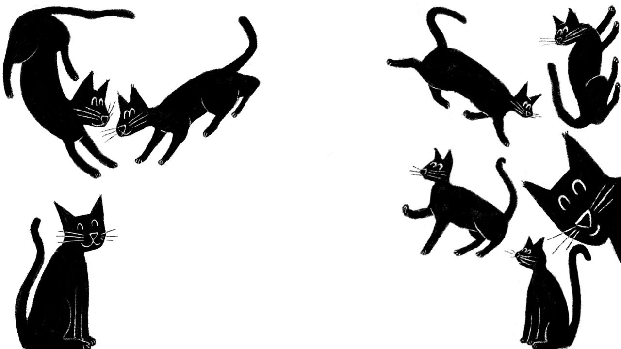 Zoom Virtual Backgrounds | P.S. I Love You More Than Tuna